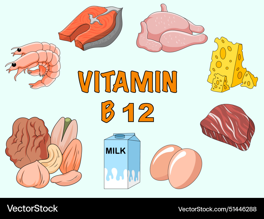 Infographics vitamin b12 products containing Vector Image