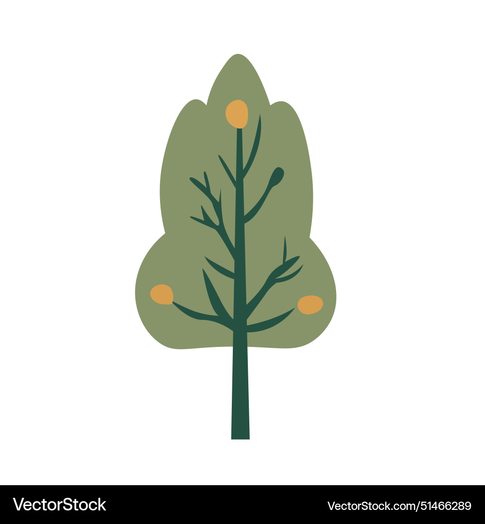 Cartoon tree foliage – Royalty-Free Vector | VectorStock
