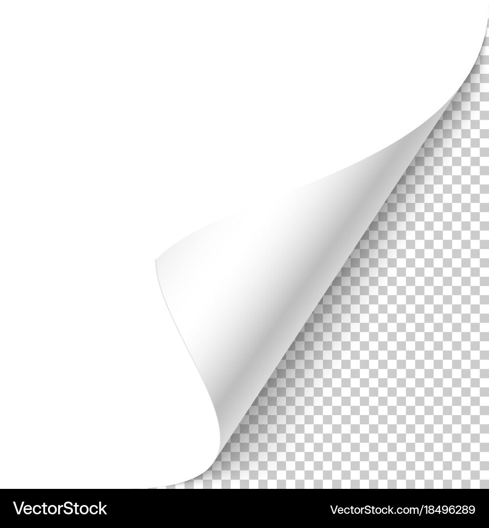 Curled corner with shadow on transparent Vector Image