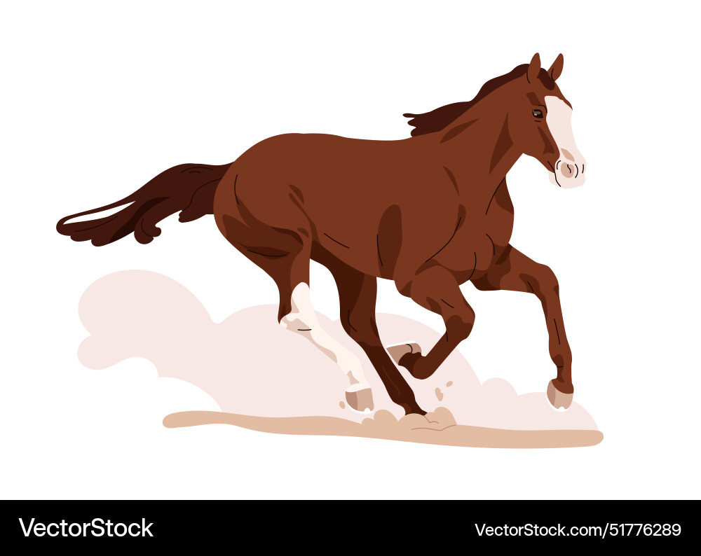 Horse stallion galloping running rushing Vector Image