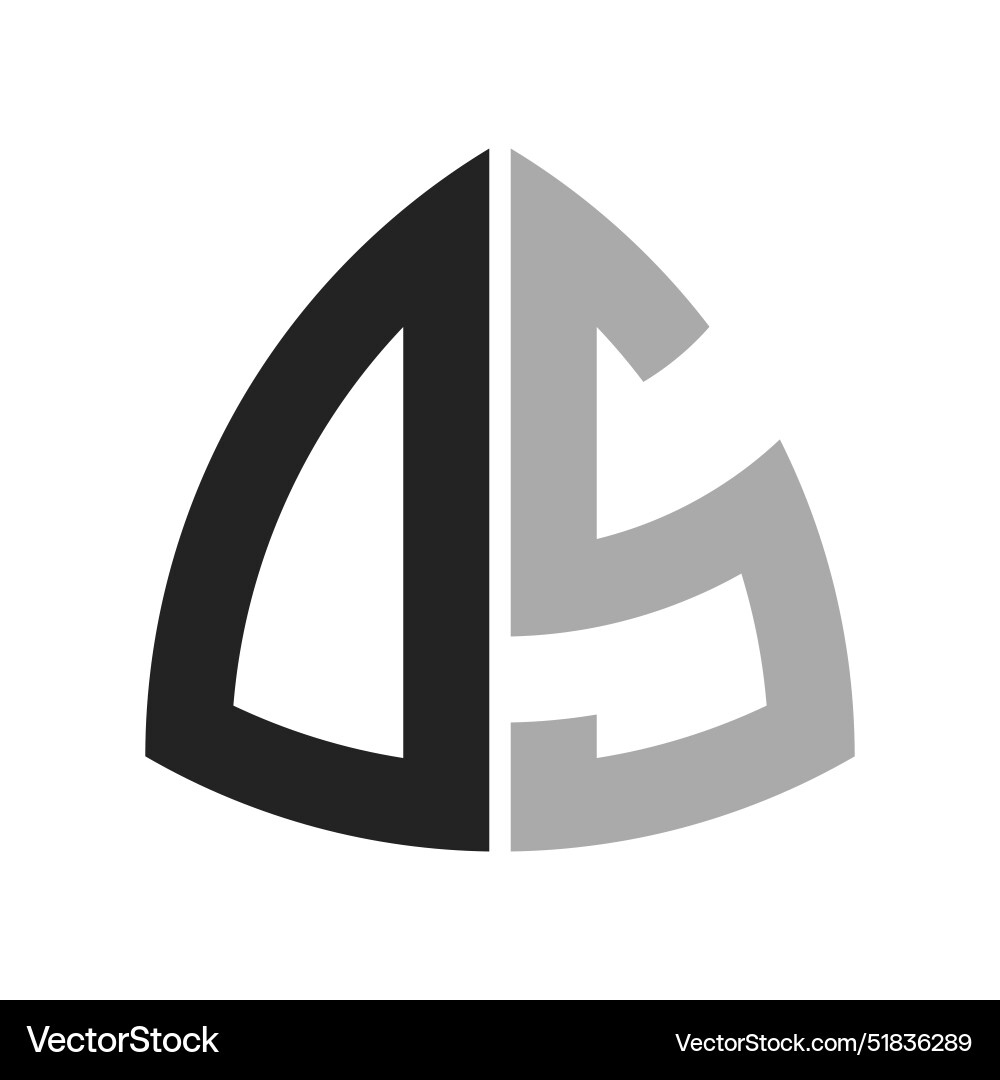 Modern creative ds logo design letter ds icon for Vector Image