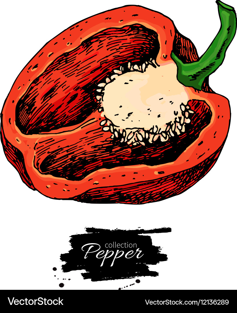 Pepper Royalty Free Vector Image - VectorStock