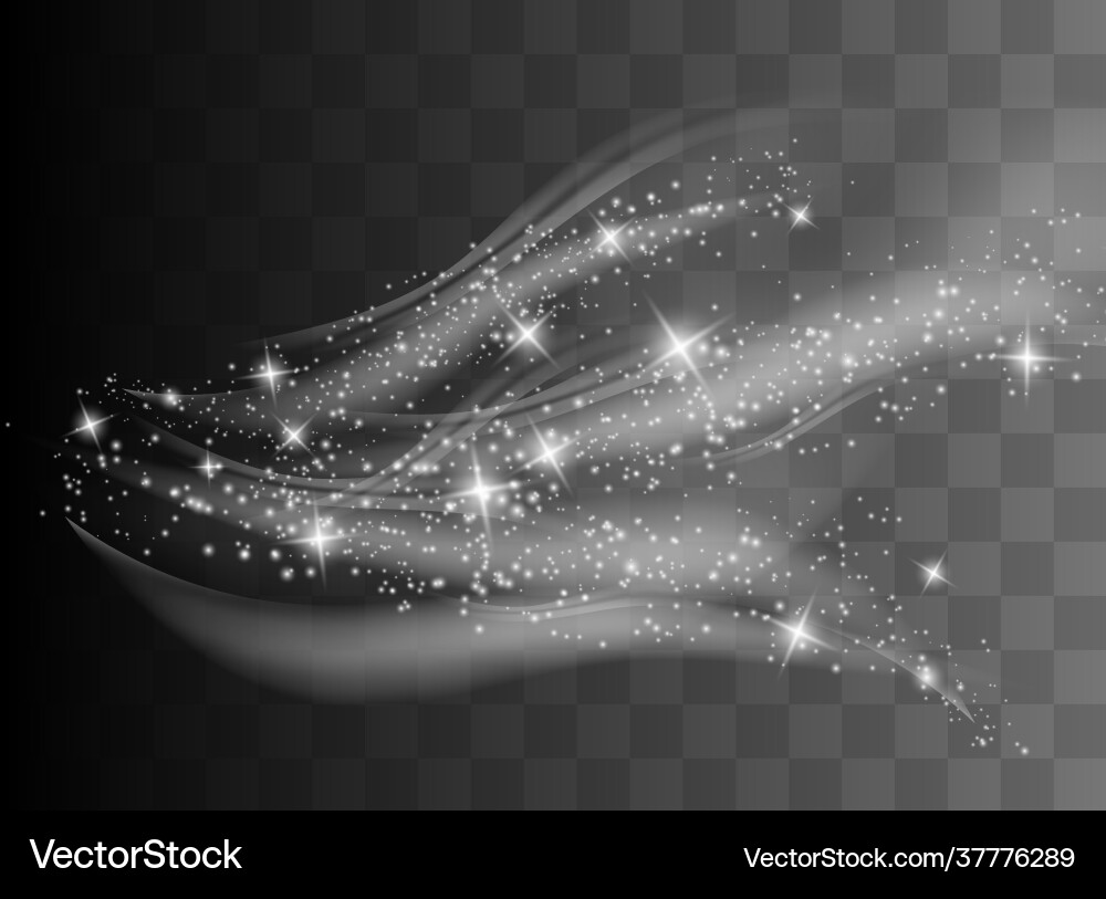 Snow and wind on a transparent background Vector Image