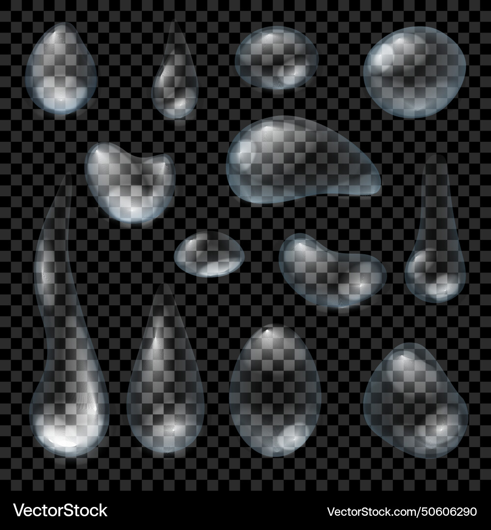 Rain drop set clear water drops isolated Vector Image