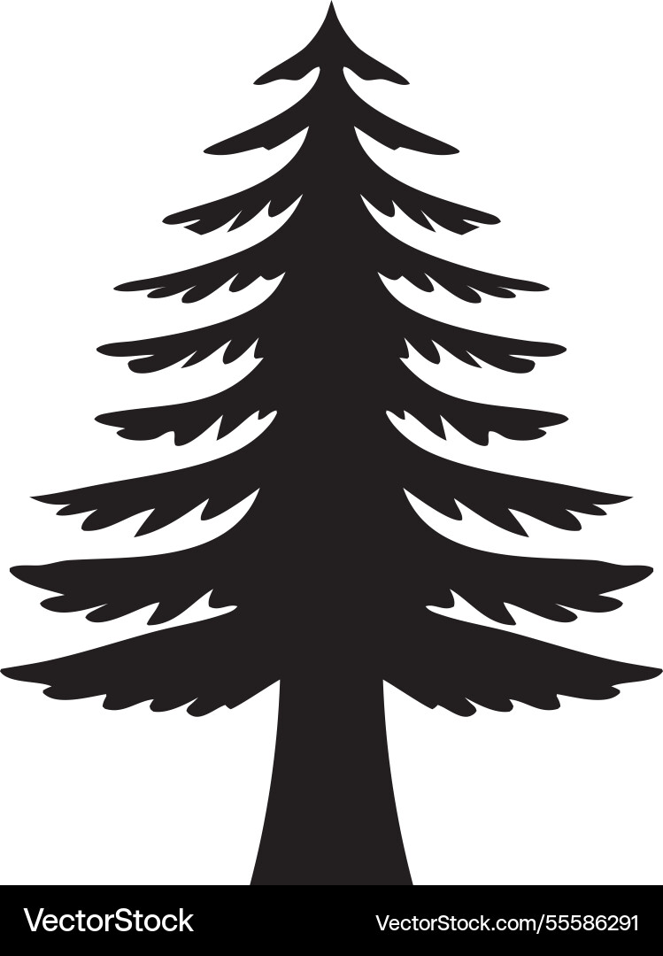 Forest outline single pine tree silhouette Vector Image