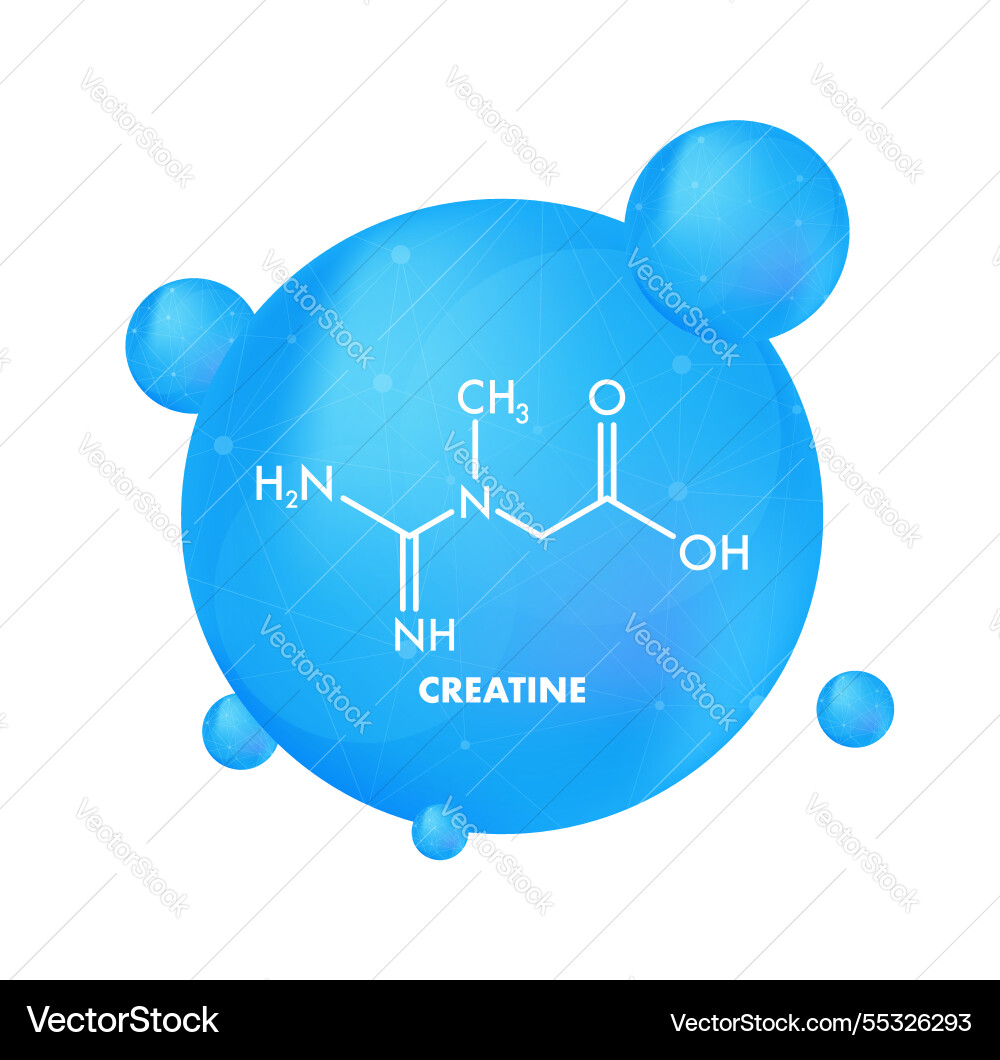 Creatine Molecule Structure Royalty Free Vector Image