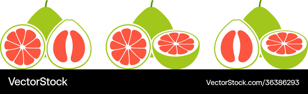 Pomelo Royalty Free Vector Image - VectorStock
