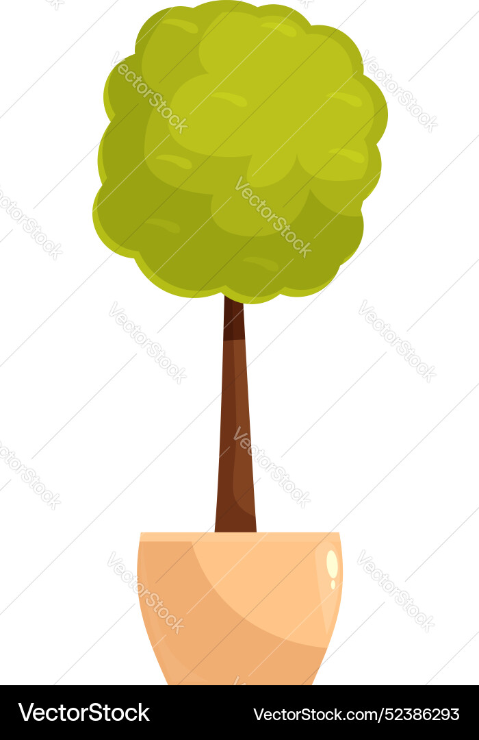 Round shaped tree growing in a pot for home Vector Image