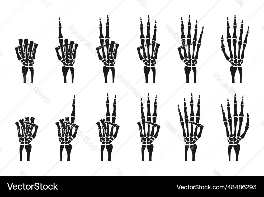 Skeleton bone hand shows a number with its fingers