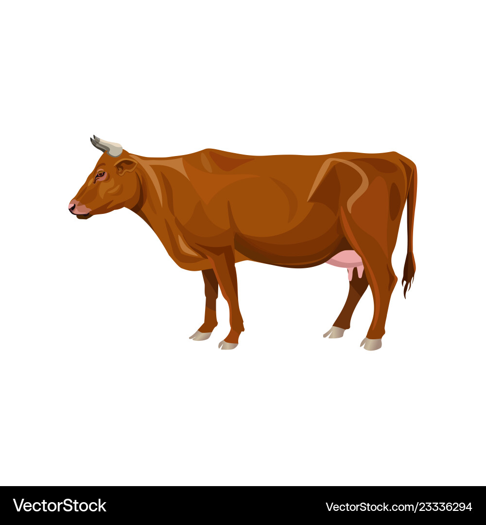 Brown cow Royalty Free Vector Image - VectorStock