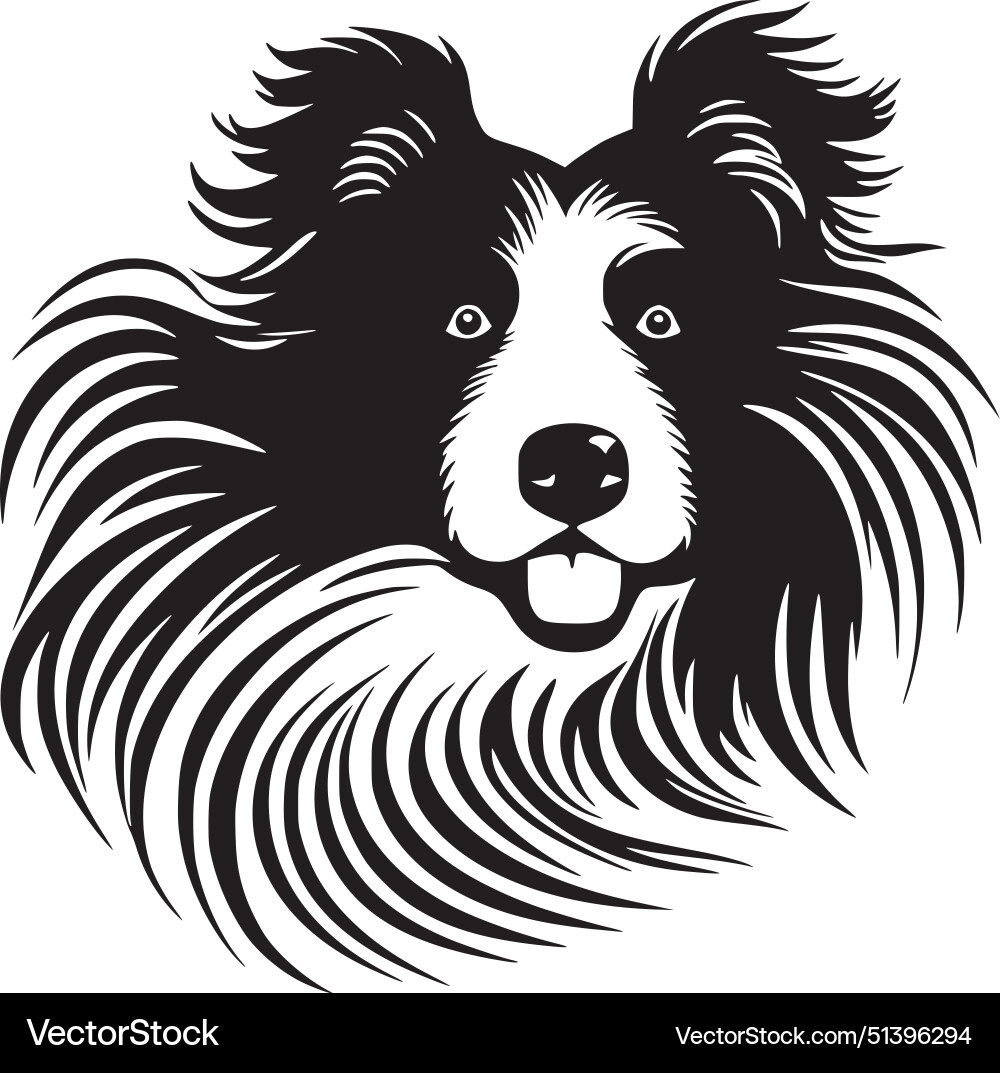 Shetland sheepdog - high quality logo ideal Vector Image