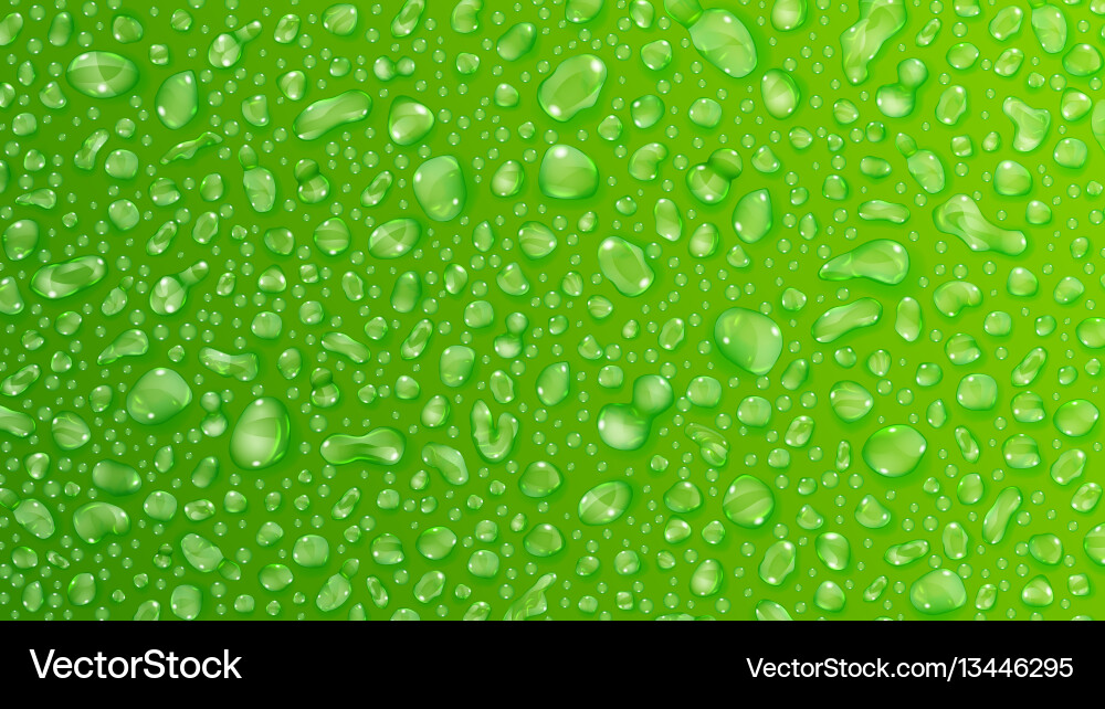 Green background of water drops Royalty Free Vector Image