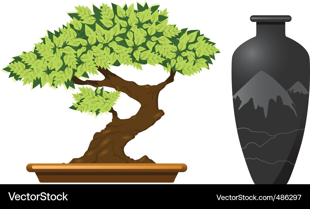 Bonsai tree Royalty Free Vector Image - VectorStock