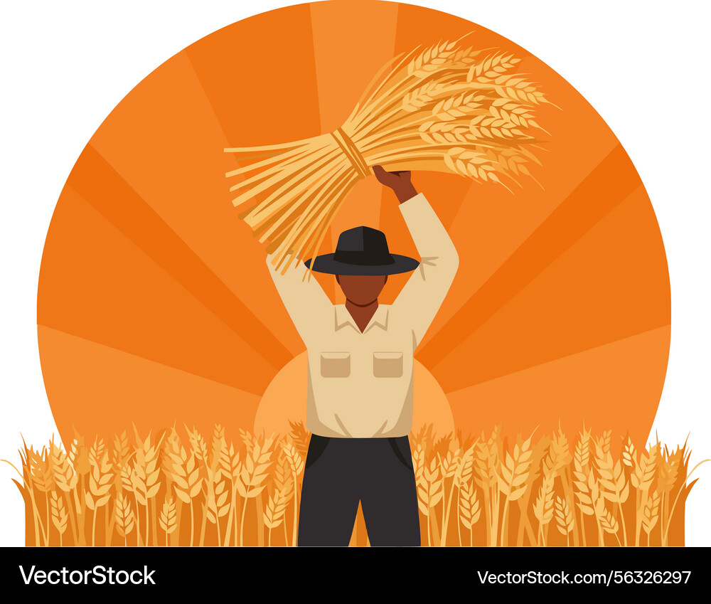 Farmer Harvesting Wheat Crop Royalty Free Vector Image