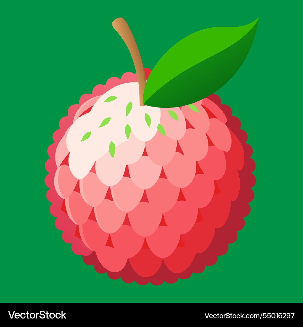 Lychee fruit isolated on white Royalty Free Vector Image