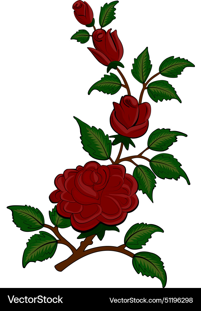 Rose flower bunch with rose plant Royalty Free Vector Image