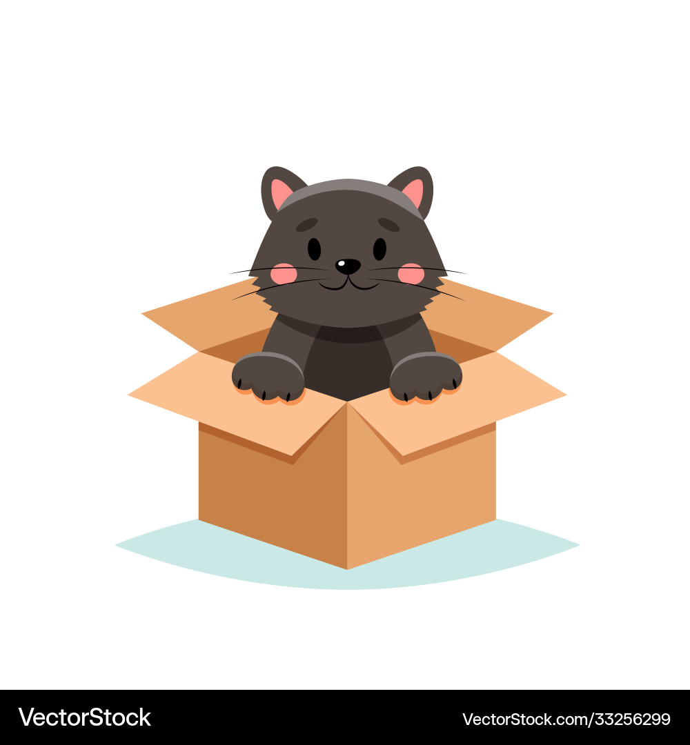 Adopt a pet - cute cat in box isolated on white Vector Image