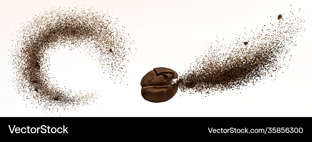 Explosion coffee bean and arabica ground Vector Image