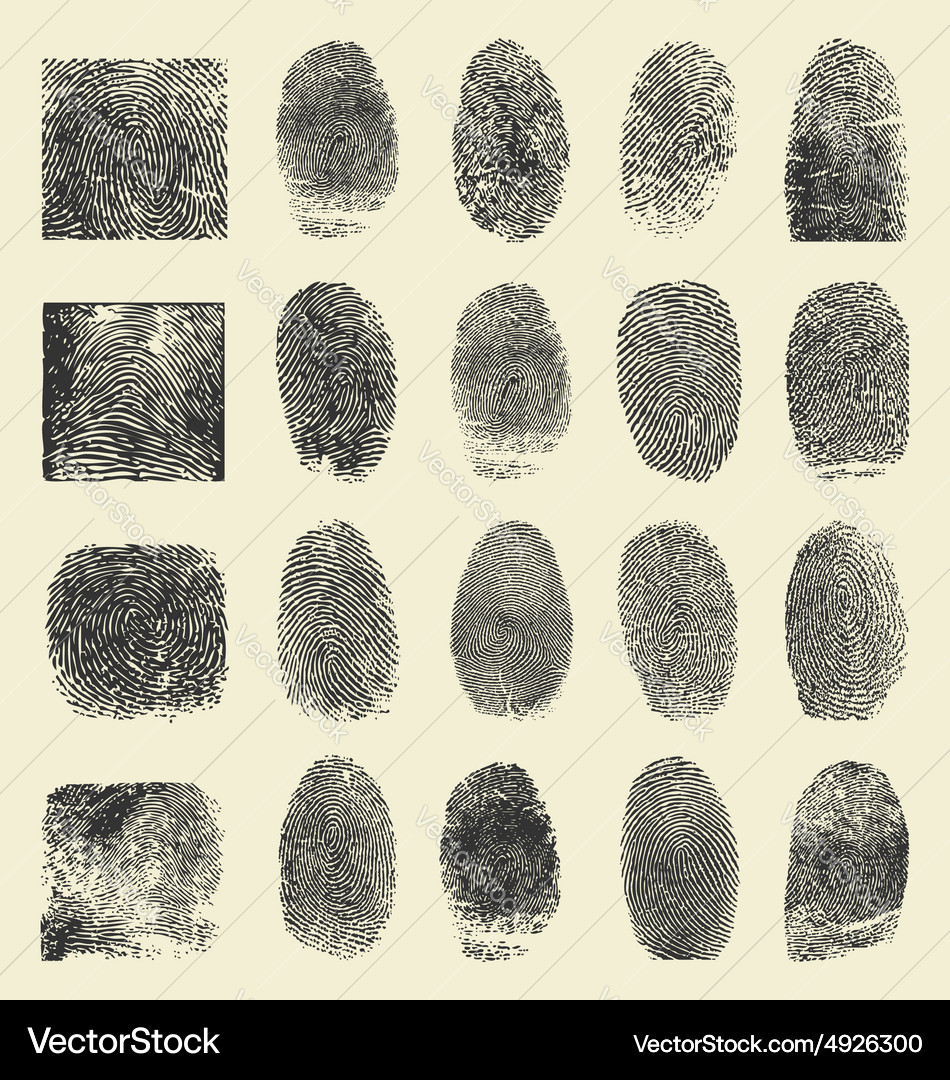 Finger prints Royalty Free Vector Image - VectorStock