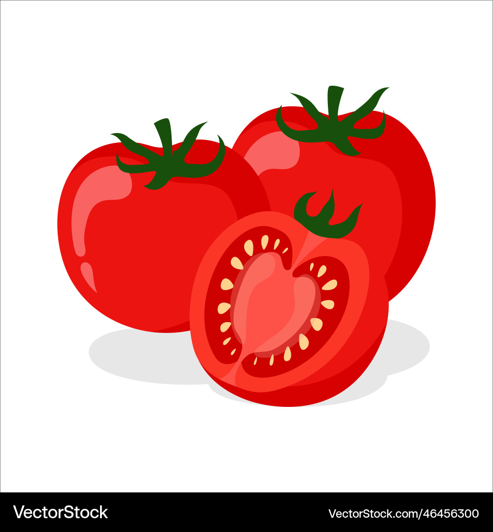 Tomato Fruit Icon - Whole & Half Royalty Free Vector