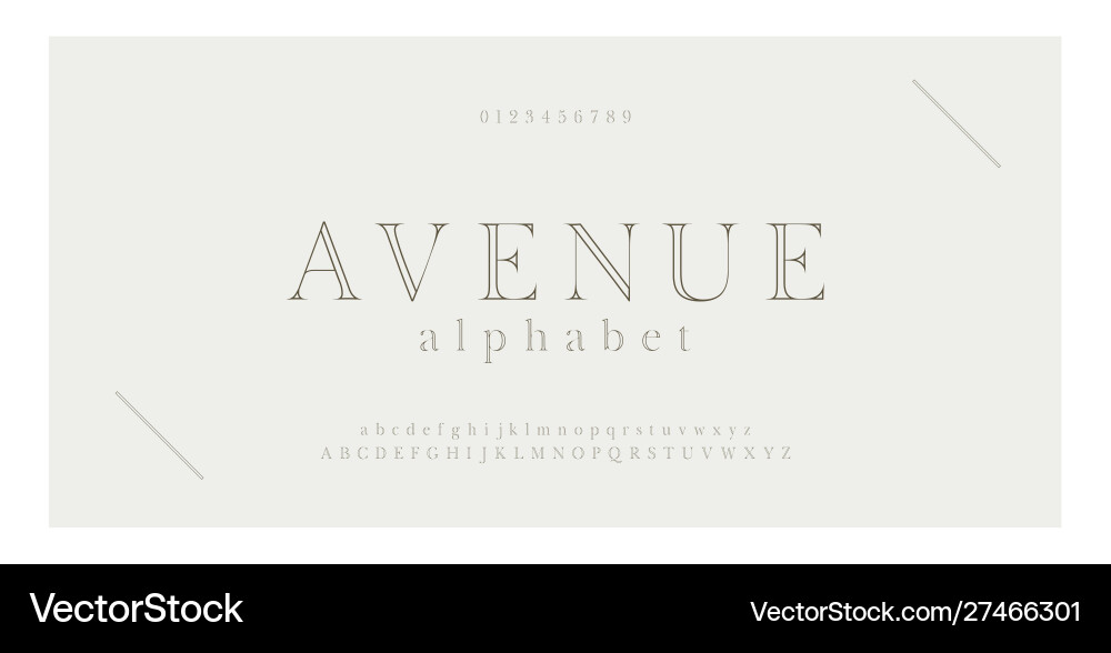 Elegant Serif Font Collection Royalty Free Vector Image