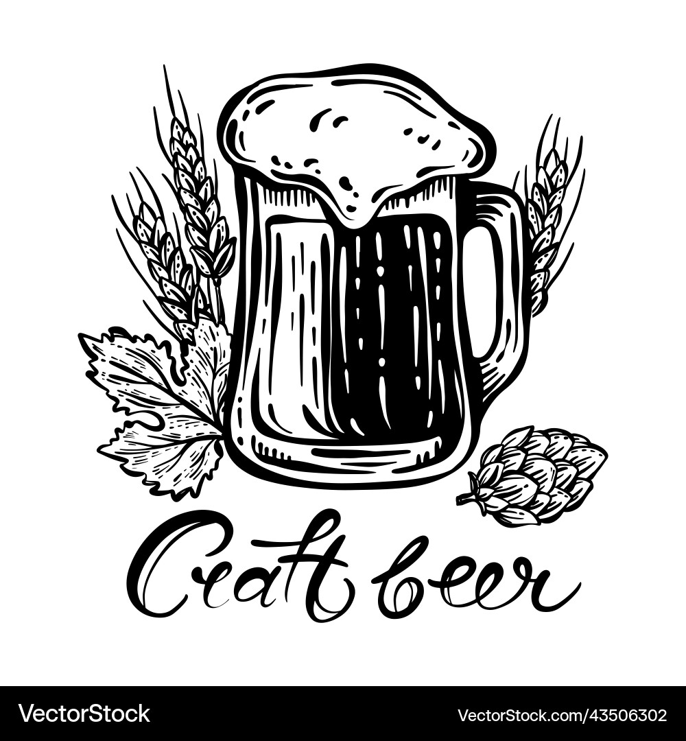 Beer mug hops wheat craft drink text Royalty Free Vector