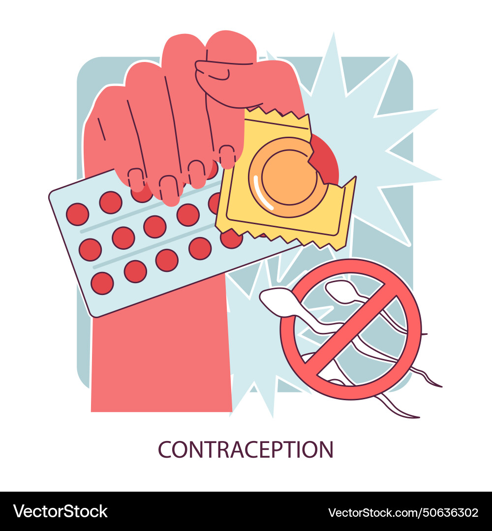 Contraception methods birth control and pregnancy Vector Image