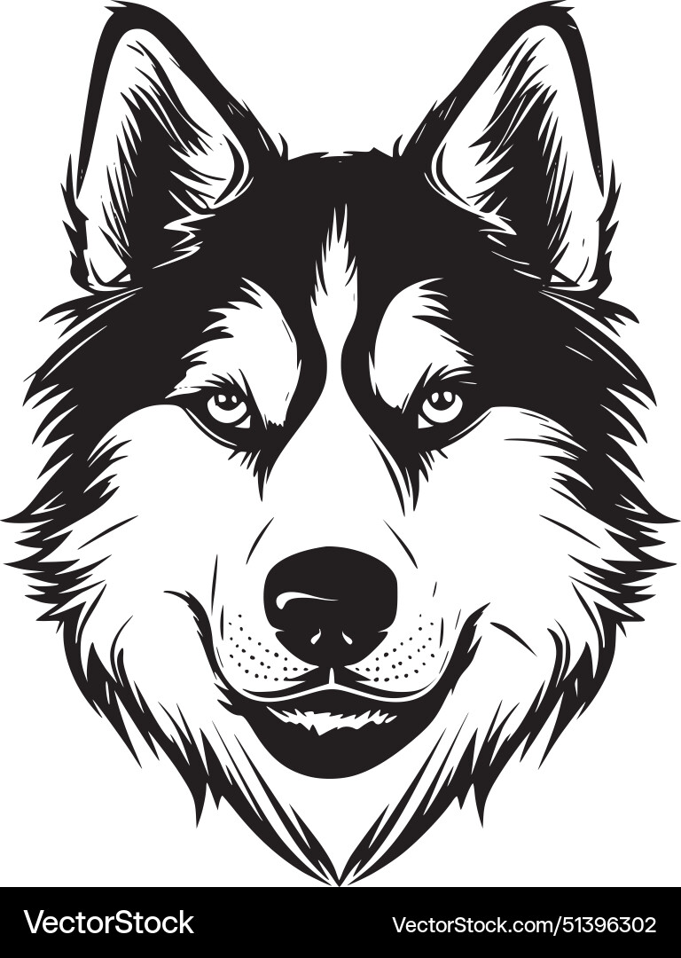 Siberian husky - black and white Royalty Free Vector Image