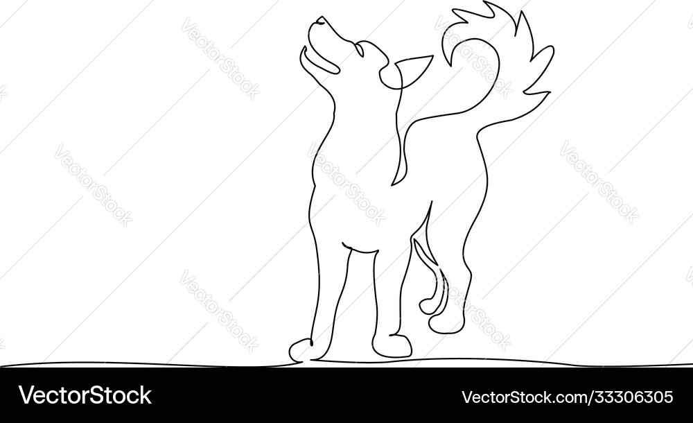 Continuous one line drawing walking dog Royalty Free Vector