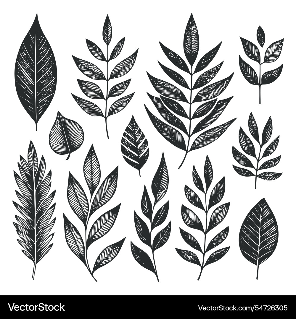 Hand drawn floral leaf set Royalty Free Vector Image
