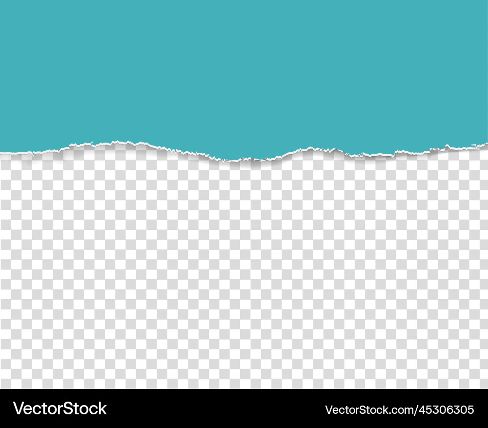 Ripped mint paper with transparent background Vector Image
