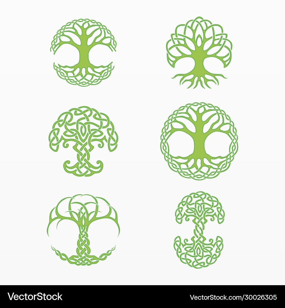 Variety celtic tree set Royalty Free Vector Image