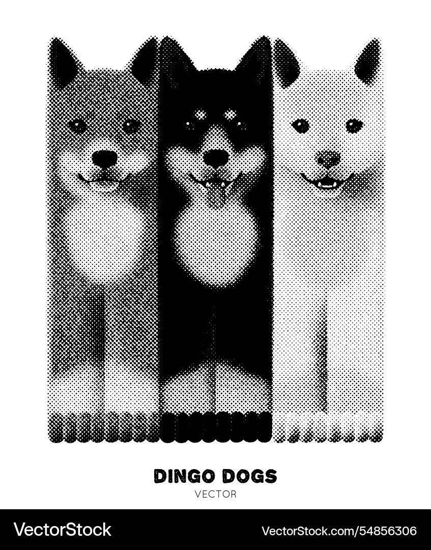 Dingo dogs australian animals graphic ink Vector Image