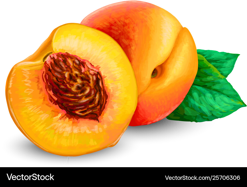 Ripe Peaches - Whole & Slice Royalty Free Vector Image