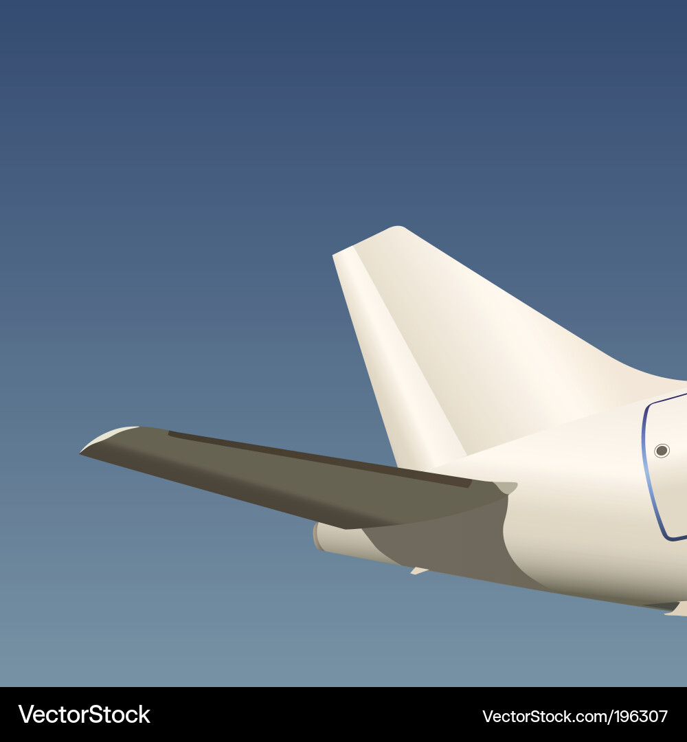 Airplane Back Wing Royalty Free Vector Image - VectorStock