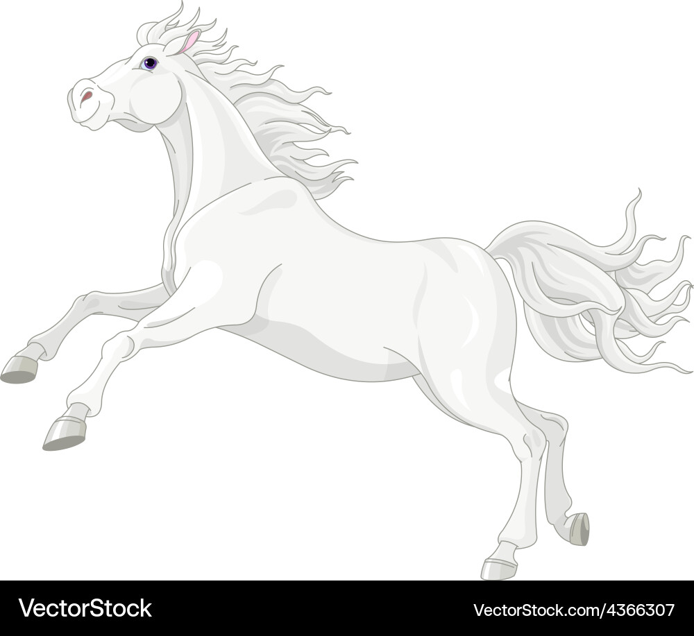 Beautiful white horse Royalty Free Vector Image