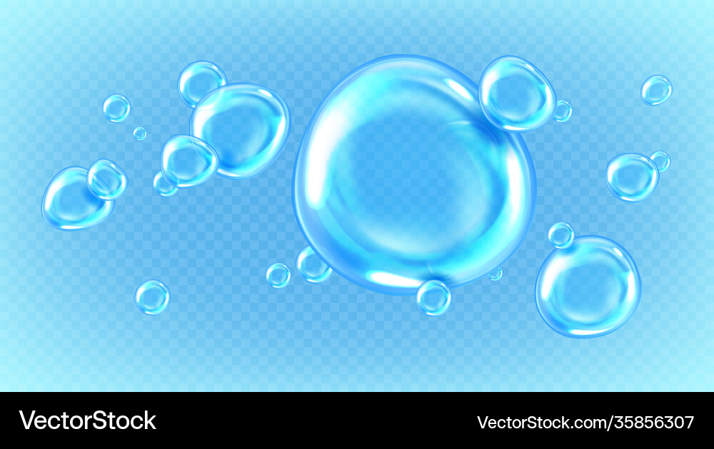 Water Drops & Bubbles Royalty Free Vector Image