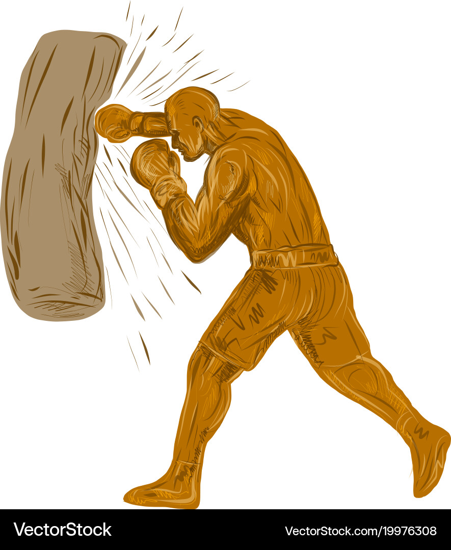 Boxer-punching-bag-dwg Royalty Free Vector Image