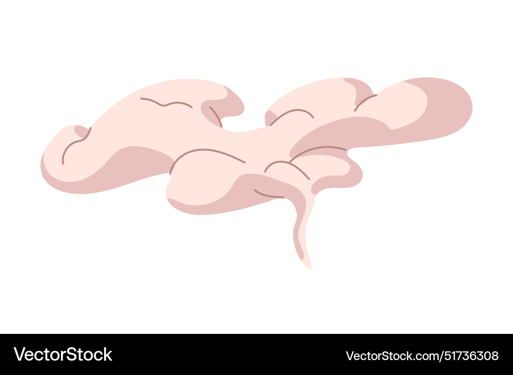 Comic trace of cigarette clouds abstract stream Vector Image