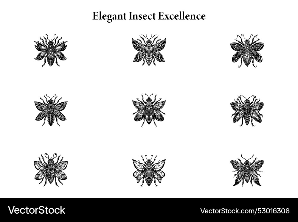 Elegant insect excellence set art design Vector Image