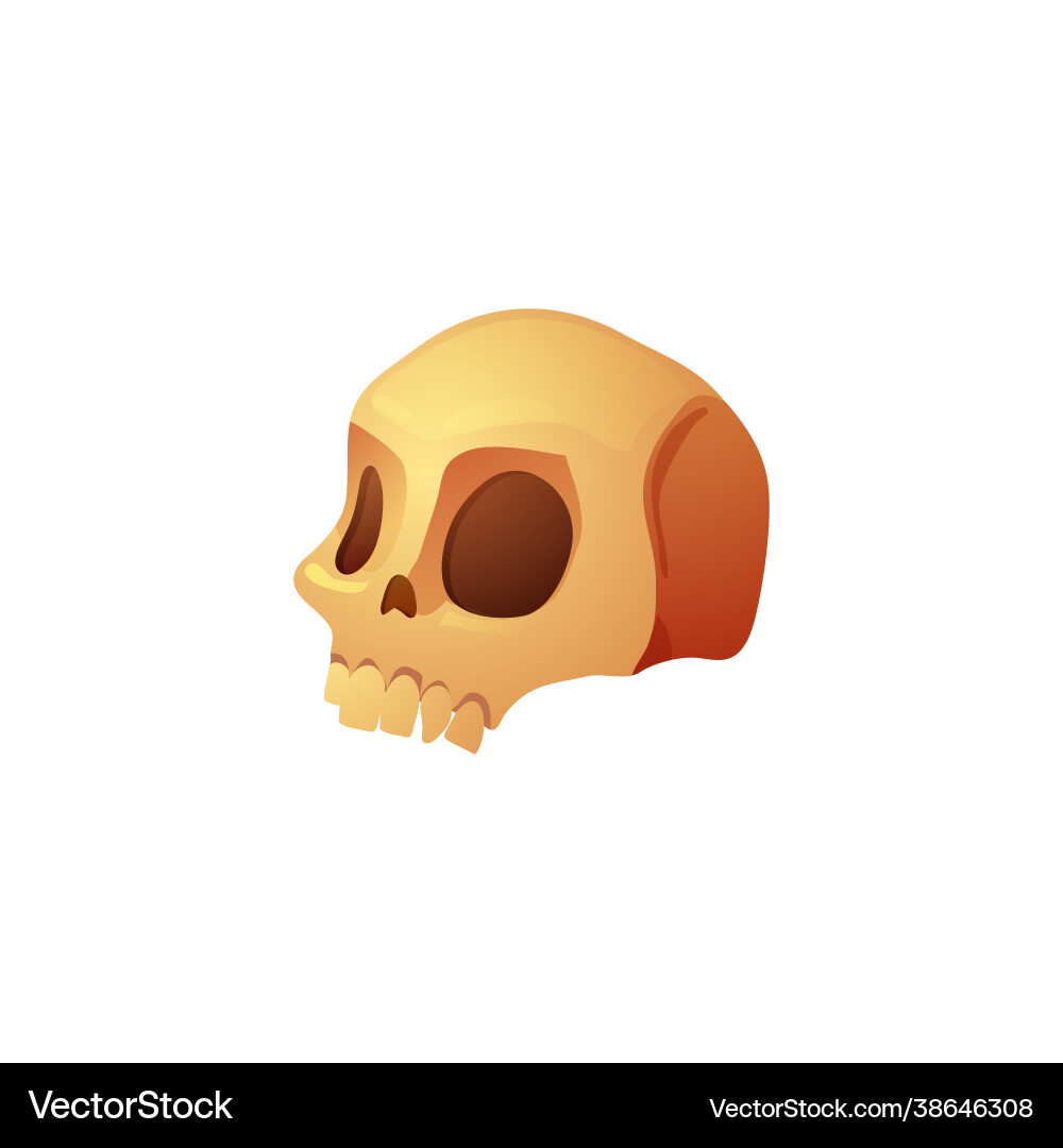 Human skull head skeleton symbol death Royalty Free Vector