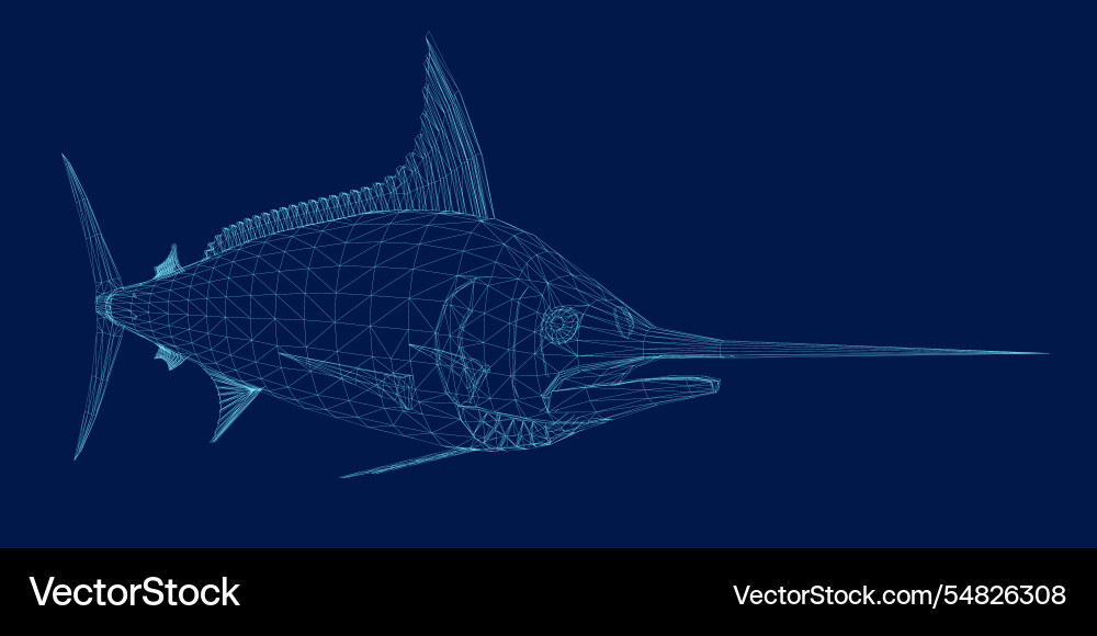 Wireframe marlin fish isolated on blue side view Vector Image