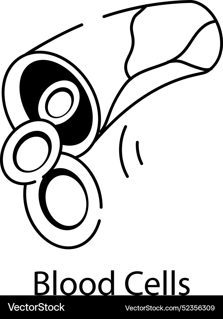 Blood cells Royalty Free Vector Image - VectorStock