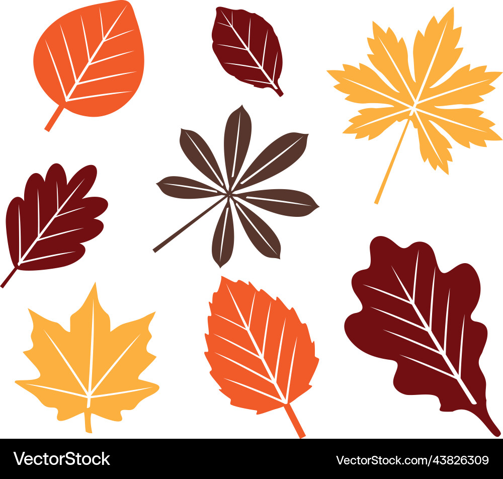 Fall leaves Royalty Free Vector Image - VectorStock