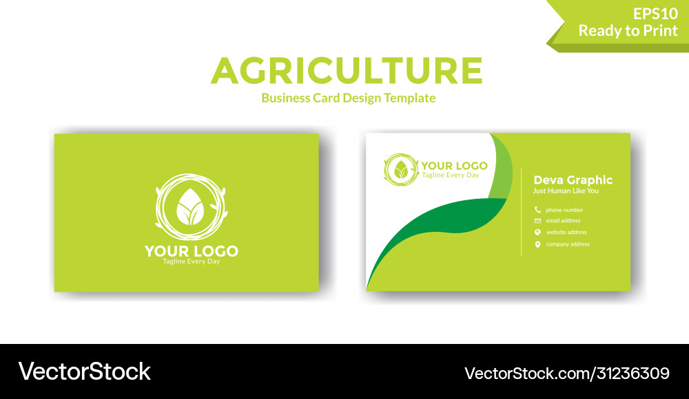 Green agriculture business card design template Vector Image