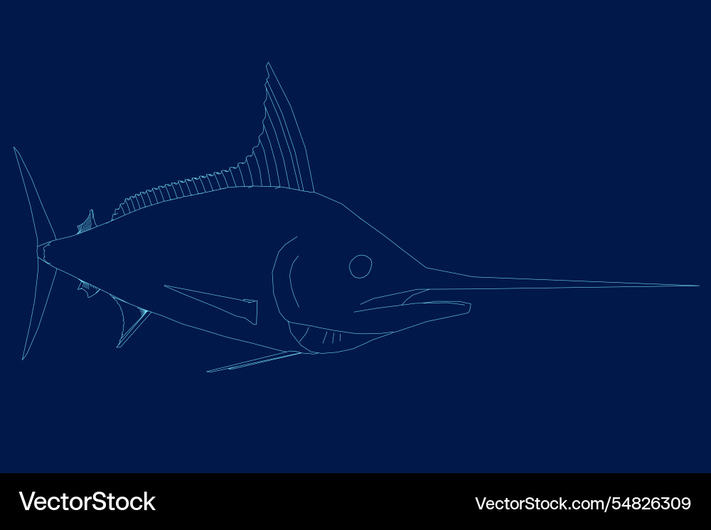 Outline marlin fish isolated on blue side view Vector Image