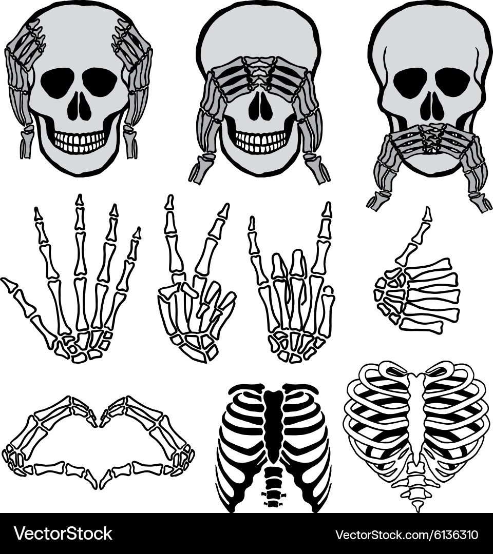 Halloween skull set Royalty Free Vector Image - VectorStock