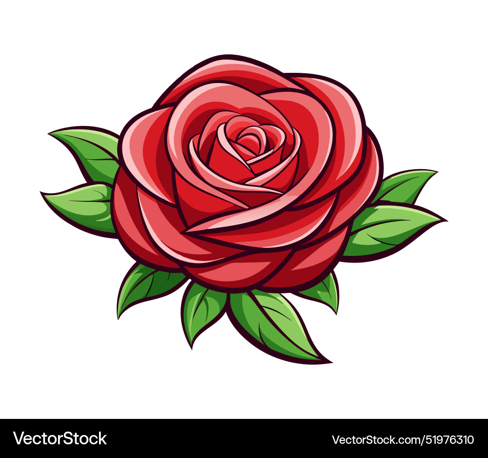 Rose colorful Royalty Free Vector Image - VectorStock