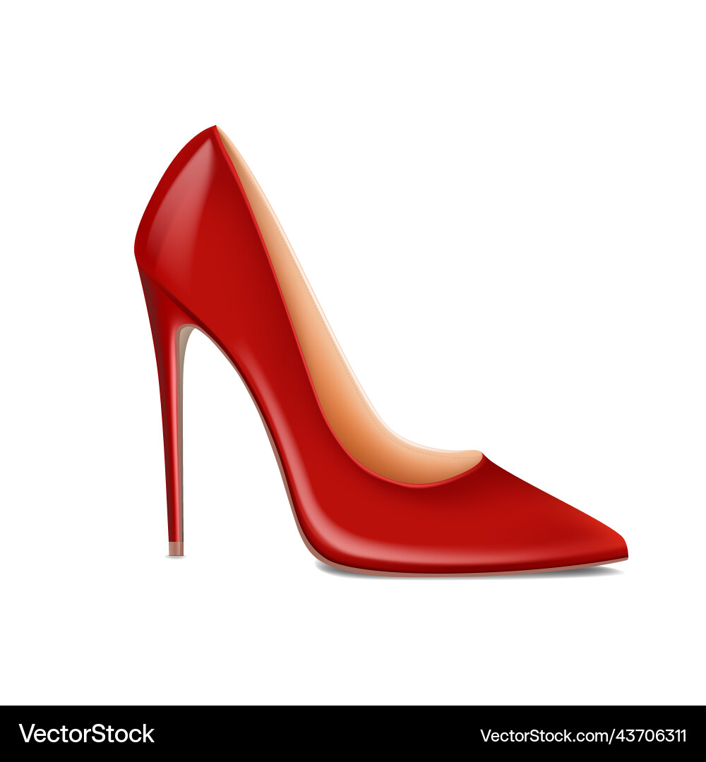 Reg shoe high realistic Royalty Free Vector Image