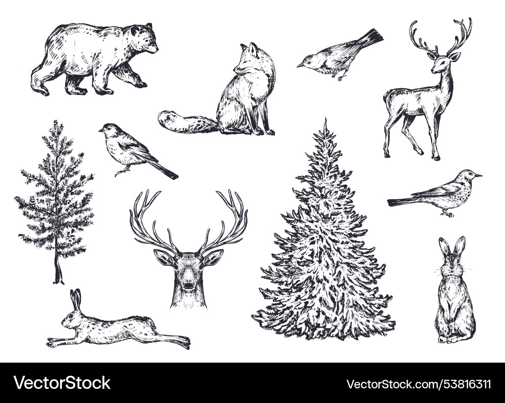 Set of winter forest animals and trees Royalty Free Vector